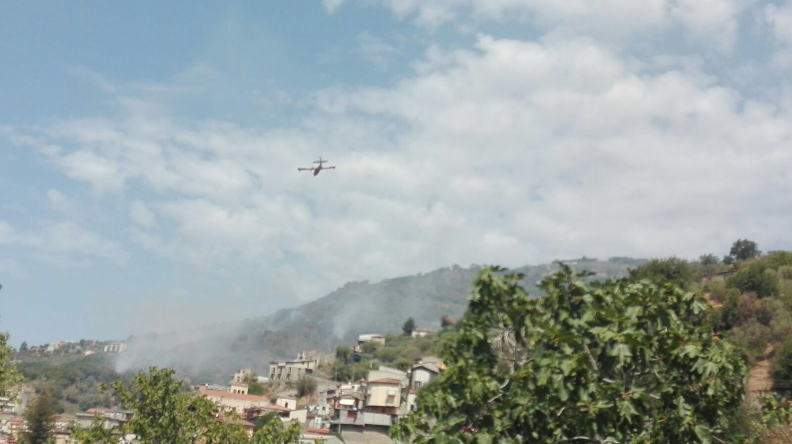 Incendi a Sinagra, distrutti 50 ettari di macchia mediterranea ...
