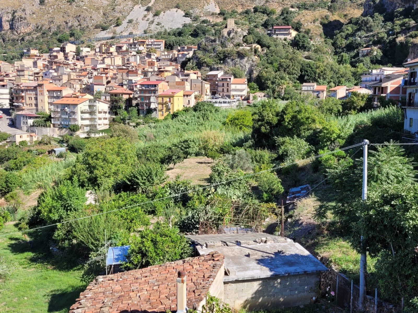 Alcara Li Fusi, torna la sagra del fungo porcino dei Nebrodi