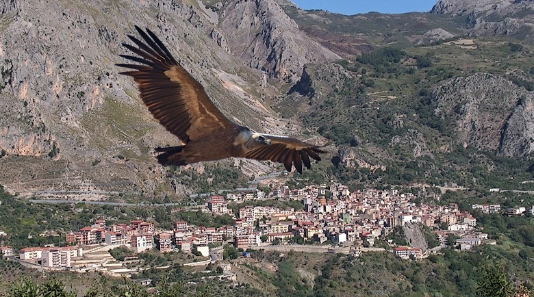 Alcara Li Fusi, all’Associazione Alcara Borgo Natura il premio Borghi ...
